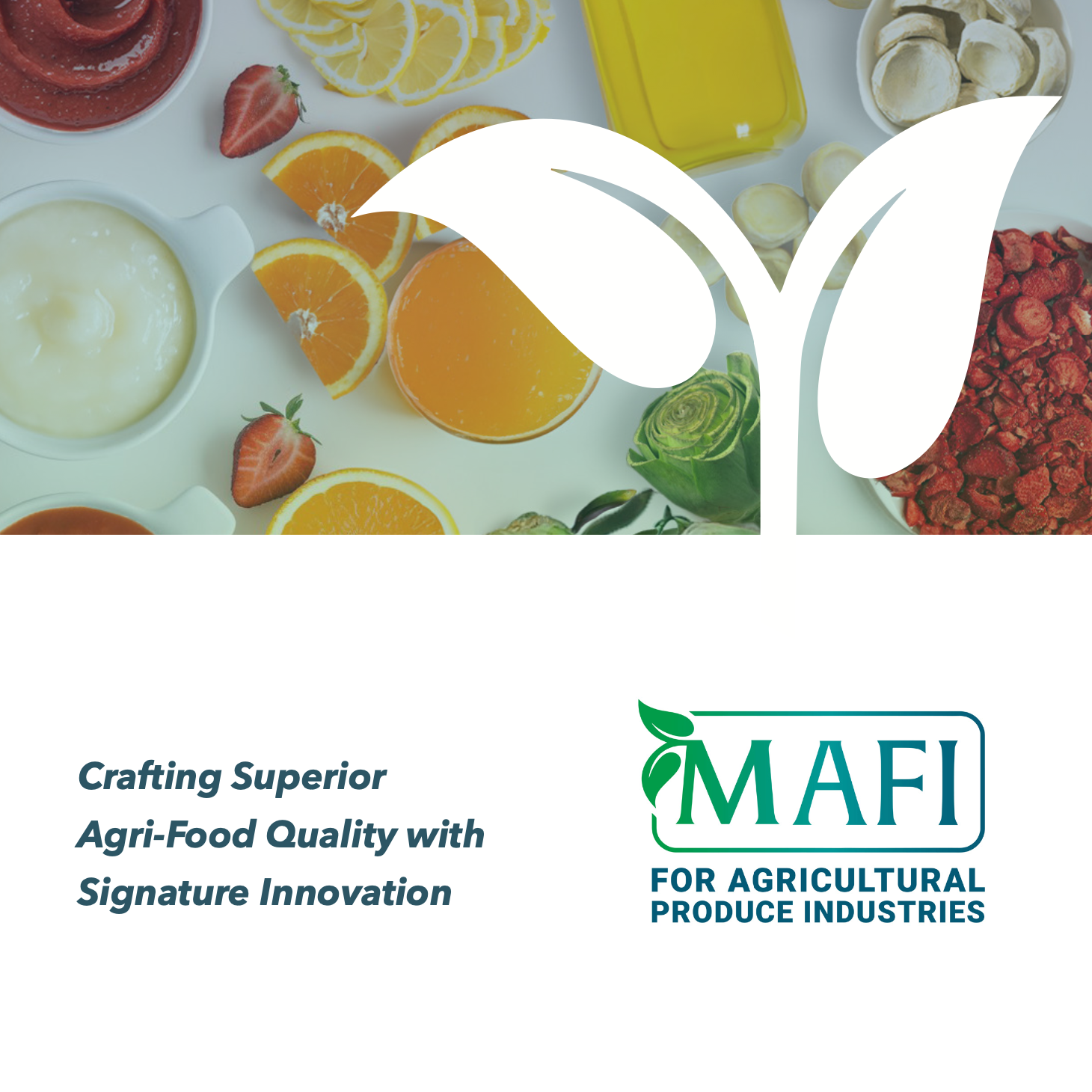 Resources & Downloads – Mafi